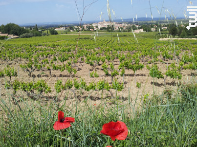 Achat Vin Sablet Rouge - Domaine La Perdrière - Côtes-du-rhône-villages ...